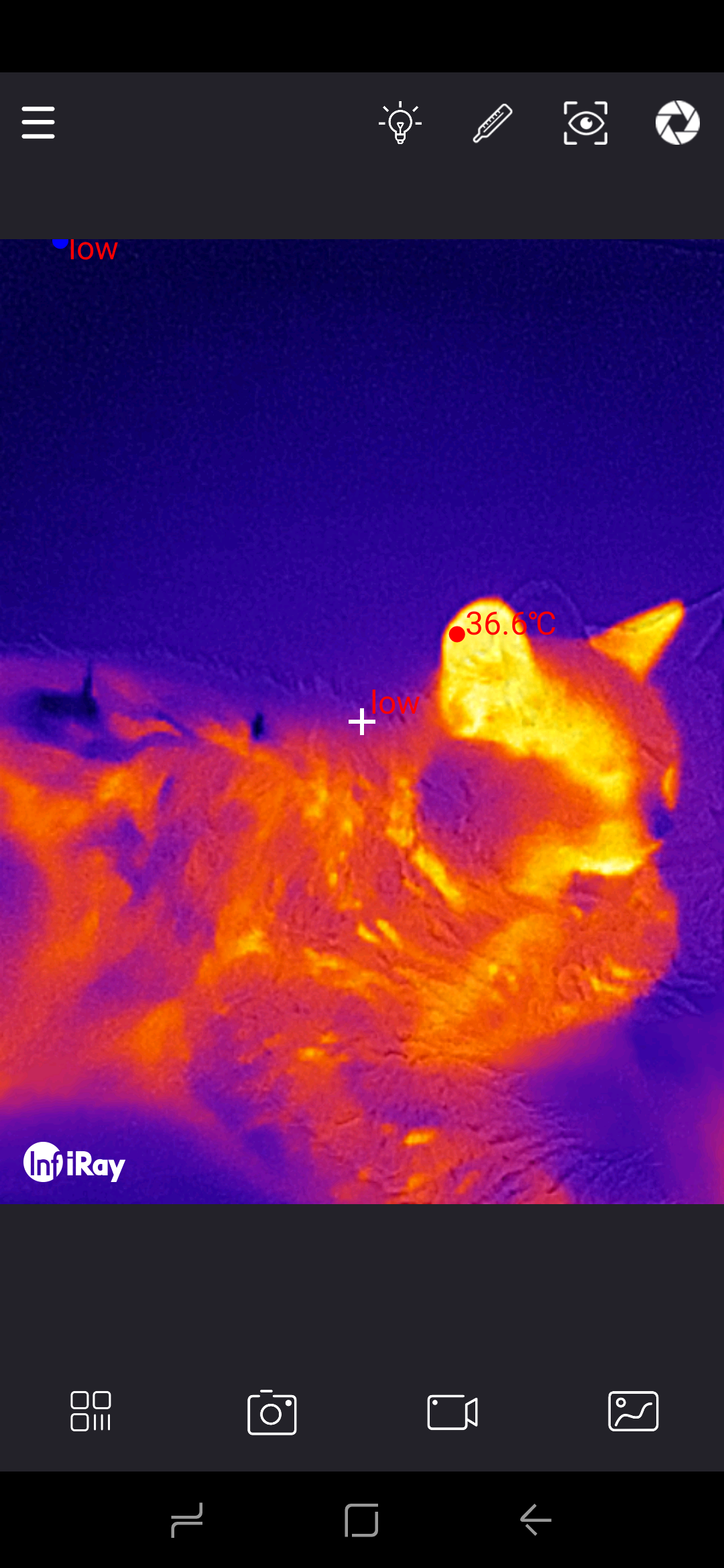 Ультимативный защищенный флагман. Обзор смартфона Doogee S98 Pro с тепловизором InfiRay и ...