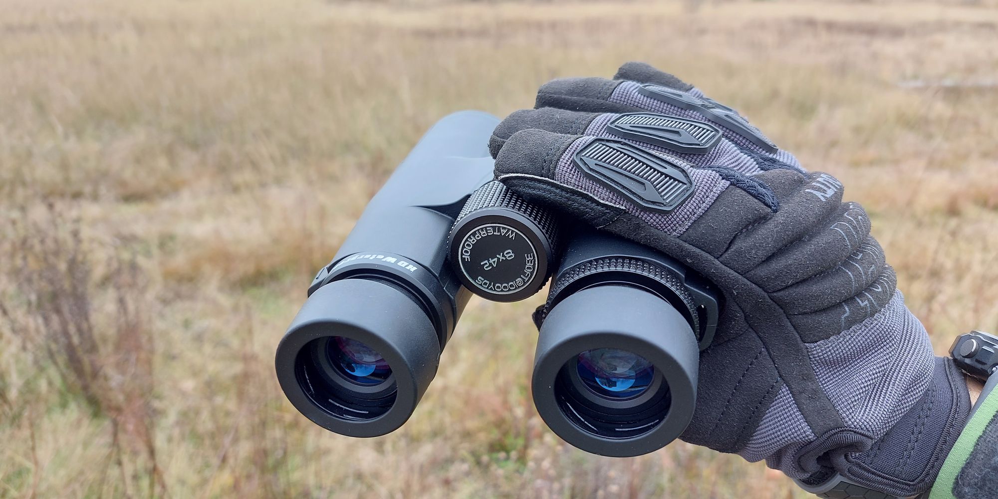 Бинокль Svbony SV47 8×42: обзор практичной модели / Цифровое фото и ...